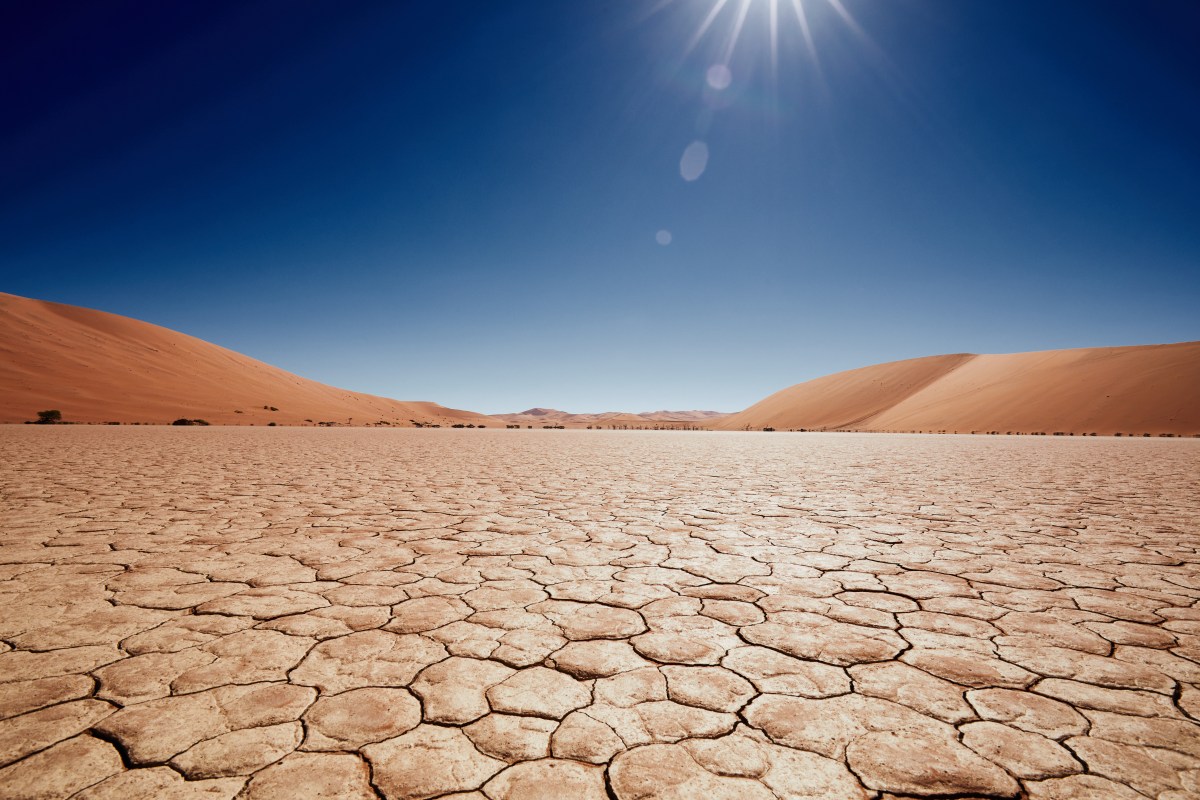 The Blessing of Barrenness – leshiggins.com